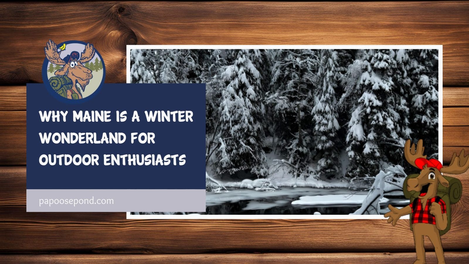 Why Maine is a Winter Wonderland for Outdoor Enthusiasts | Papoose Pond ...